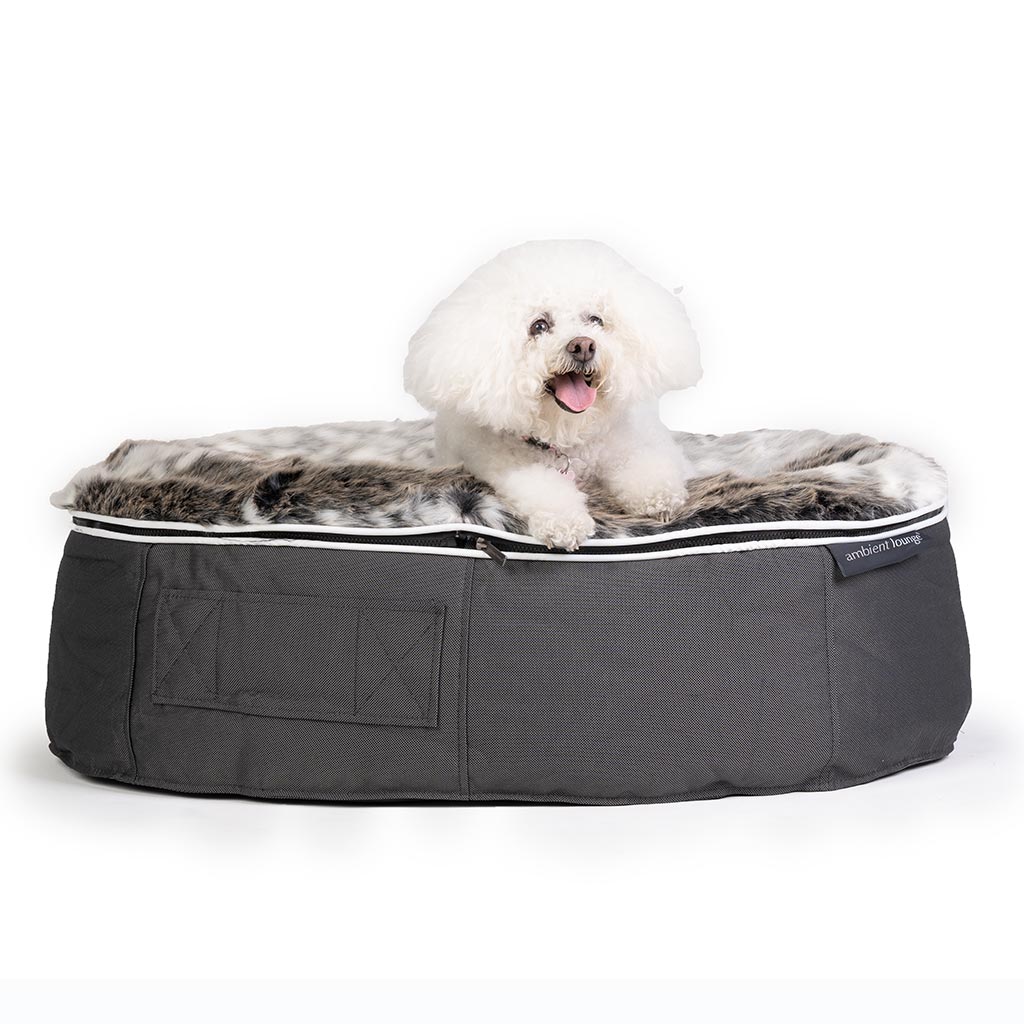 (M) Premium Indoor/Outdoor Dog Bed (Wild Animal)– Ambient Lounge® USA